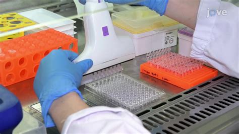 Identifying Kinase Inhibitors That Modulate The Thymocyte Response To Strong Tcr Signals