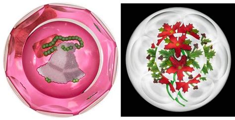 Vintage Perthshire Art Glass Paperweights Lot Of Two Sold At Auction