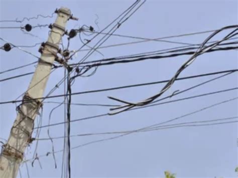 जर्जर हुए हाईटेंशन लाइन के तार तीन गायों की मौत के बाद भी नहीं जागे