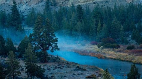 Aerial View Of River Between Green Trees Forest With Fog Hd Nature