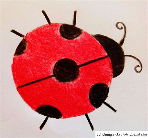 نقاشی کودکانه کفشدوزک ️ [ بهترین تصاویر ]