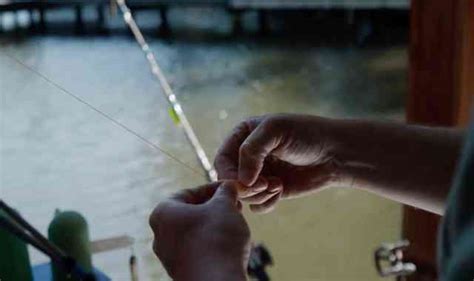 Big Cat Fever Bcf Rods Zakk Royce Edition Catch The Fever Outdoors
