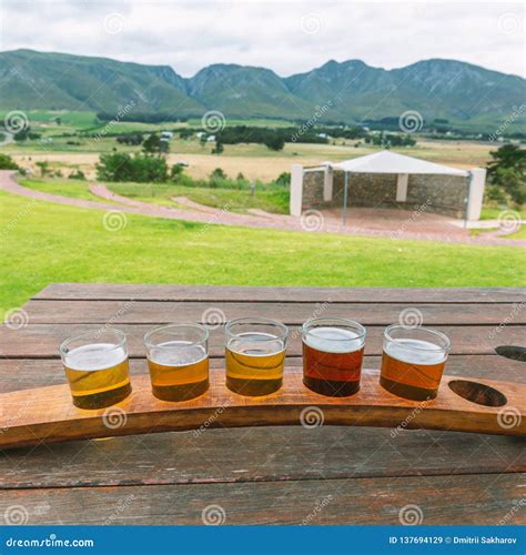 Beer Tasting Glasses On A Wooden Tray Outside The Brewery Stock Image