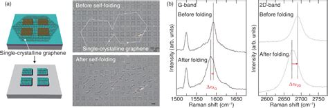 Figure 2 From Self Folded Three Dimensional Graphene For Biointerfaces Semantic Scholar