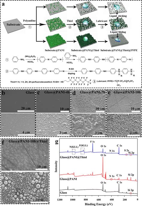 A Schematic Diagram Of The Preparation Process Of The Slips Sem Download Scientific Diagram