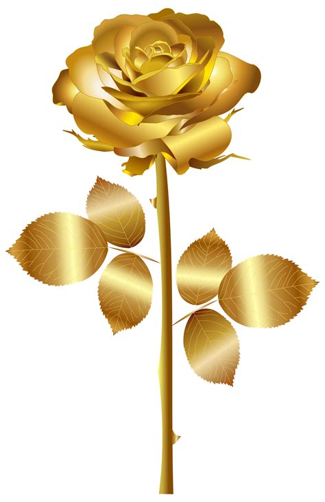 Rosa Dourada Png Para Download Gratuito