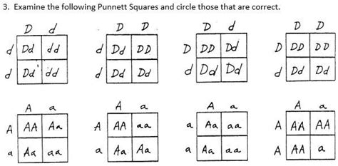 Solved Here Please Help I Think This Is Easy For You Guys But It Is