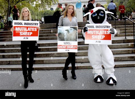 Peta peta campaign fotografías e imágenes de alta resolución Alamy