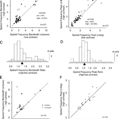 Spatial Frequency Bandwidth Ratio Highlow Contrast Distribution