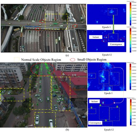 Normalized Gradient Maps Of Faster Rcnn Backbone Trained With 1×