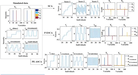 simulated data for case a and the scores and loadings obtained by sca