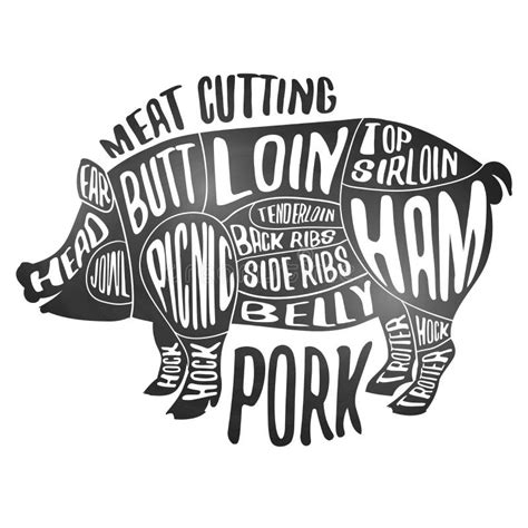 Meat Cutting Pork White Chalkboard Poster Cut Of Pig Meat Set