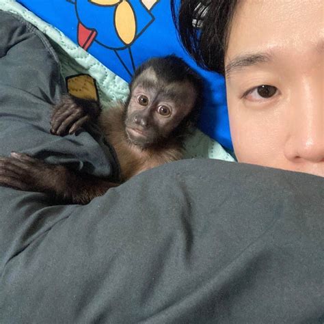 デボちゃんさんのインスタグラム写真 デボちゃんInstagram He is pienchan きょうもいっちょにねる 오늘도 같이