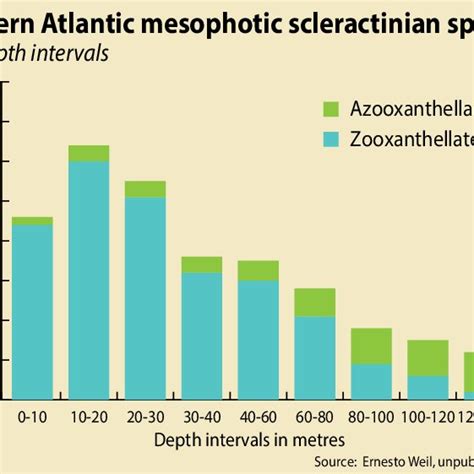 8 Relationship Between The Number Of Scleractinian Coral Species With Download Scientific