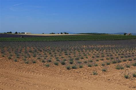 엑상 프로방스 출발 무스티에 생트 마리 And 베르동 캐년 투어 청정 자연 속 유럽 여행의 매력 Funbooky