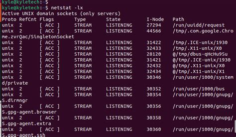 Netstat Linux コマンドの使用方法