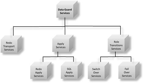 Overview Of Oracle Data Guard Online Learning4naukri