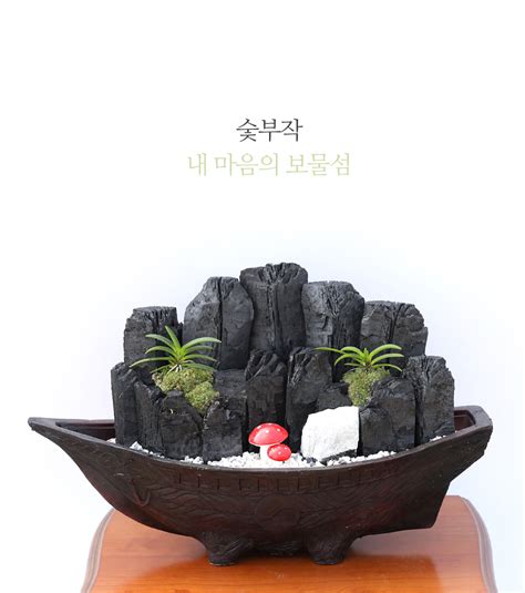 공기정화식물숯부작공기정화탁월한 숯부작 내 마음의 보물섬 꽃배달 플라워119꽃배달서비스 공기정화식물숯부작공기정화탁월한 숯부작 내 마음의 보물섬