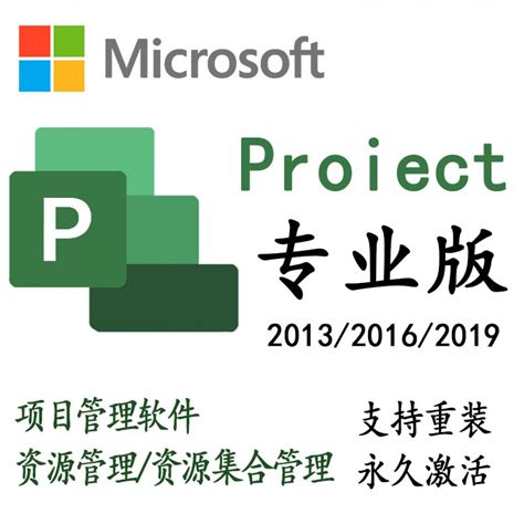 Project2021专业正版激活码密钥远程安装项目管理软件多台安装 计算机设备及软件（a0201） 永德办公 甄选251