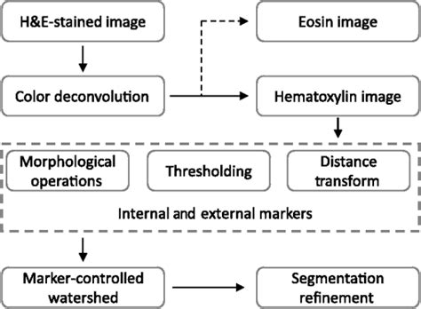 Automatic Extraction Of Cell Nuclei From Hande Stained Histopathological
