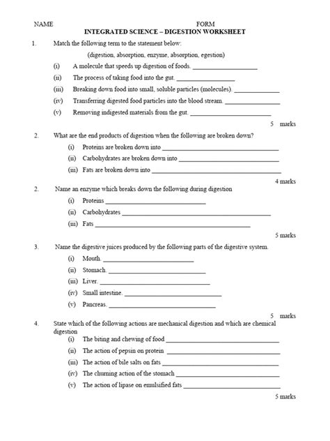 Digestion Worksheet Pdf Digestion Organ Anatomy