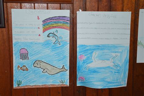 Dsc0372 Dugong Seagrass Flickr