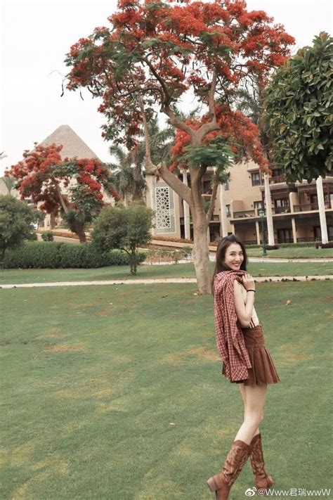 赵继伟妻子晒埃及游美照：旅行的沉淀更有意义 搜狐大视野 搜狐新闻