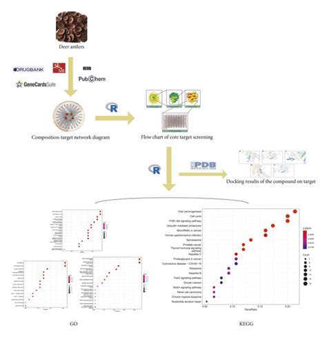 Brief Flowchart With Network Pharmacology And Molecular Docking