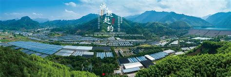 浙江寿仙谷医药股份有限公司