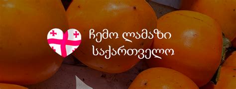 ჩემი ლამაზი საქართველო Home