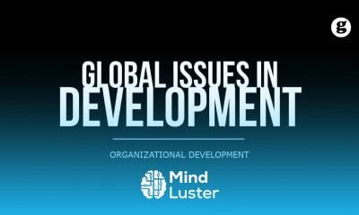 Learn Global Issues In Organizational Development Mind Luster