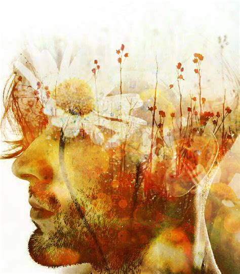 Dead Leaf By Dirkozz On Deviantart