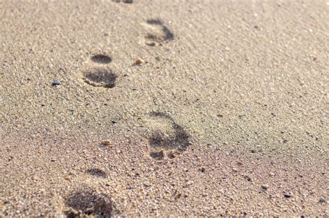 Premium Photo Woman Legs Walking On Seashore Sands Beach Footprints