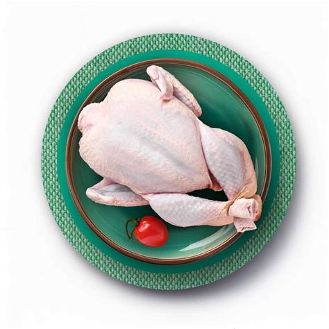 مرغ مادر منجمد صنعتی آرتا پروتئین