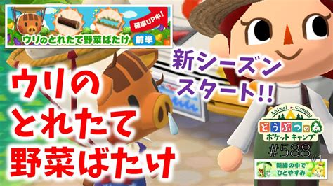 【ポケ森】新シーズン＆ウリのとれたて野菜ばたけスタートです！【どうぶつの森ポケットキャンプ】588 無課金 Youtube