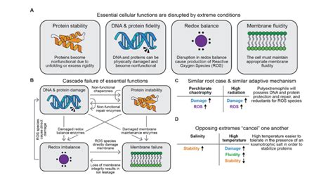 Genomics Proteomics Bioinformatics Archives Astrobiology