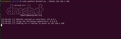 Dnschef Penetration Testers And Malware Analysts Geeksforgeeks