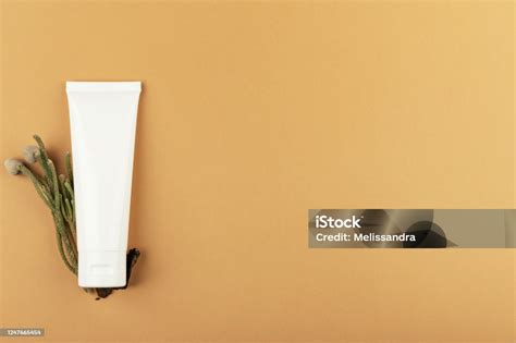 크림 자외선 차단제 또는 보습 로션및 녹색 식물을위한 흰색 브랜드튜브 친환경 화장품 자연 미용 개념 베이지 색 배경에 격리 복사 공간 0명에 대한 스톡 사진 및 기타 이미지