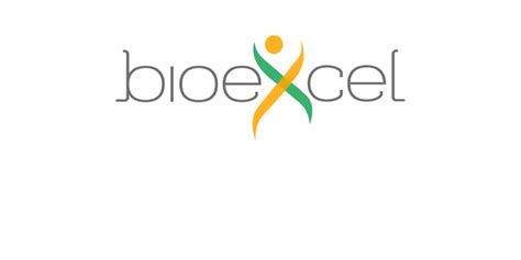 Bioexcel Webinar Accounting For Protein And Ligand Flexibility In Molecular Docking And Virtual