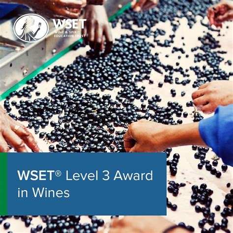 Wset 3 Florence Bwine International Wine School