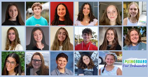 Peer Ambassadors 2021 Springboard Jewish United Fund