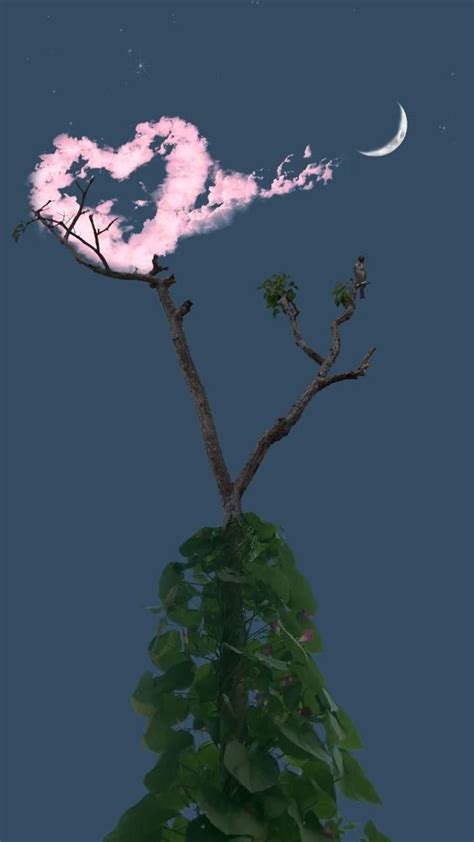 Video Instagram Flowers Artofit
