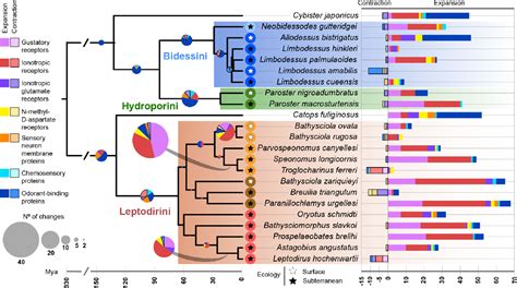 Figure 2 From Highly Dynamic Evolution Of The Chemosensory Gene