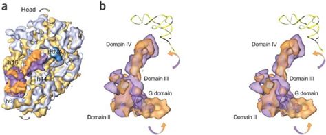 Conformational Transition Of Initiation Factor 2 From The Gtp To Gdp