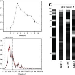 Concentration And Particle Size Characterization Of ESP Obtained Via A Download Scientific