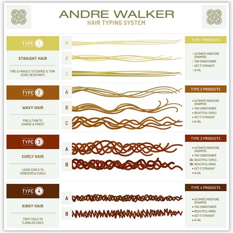 Everything You Need To Know About Hair Types Natural Hair For Beginners