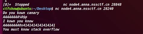 Pwn Fsctf Stackmat Canary Ctf Pwn Csdn
