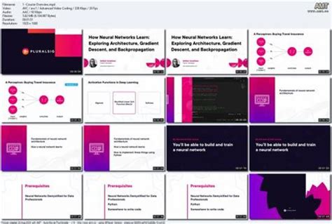 How Neural Networks Learn Exploring Architecture Gradient Descent