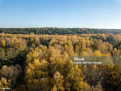드 론 이미지입니다 농촌 지역 필드와 Autum에 숲의 항공 보기 0명에 대한 스톡 사진 및 기타 이미지 0명 경관 계절