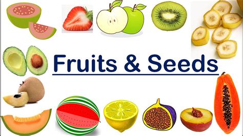 Which Fruit Has Most Seeds Top 11 Best Answers Barkmanoil